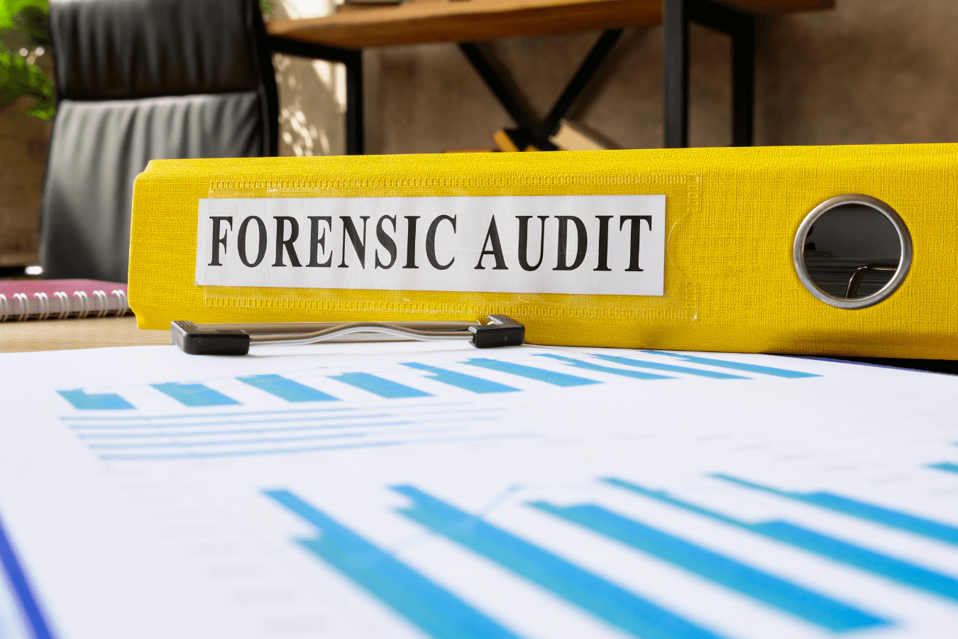 Case Studies: Forensic Audits in Other Countries